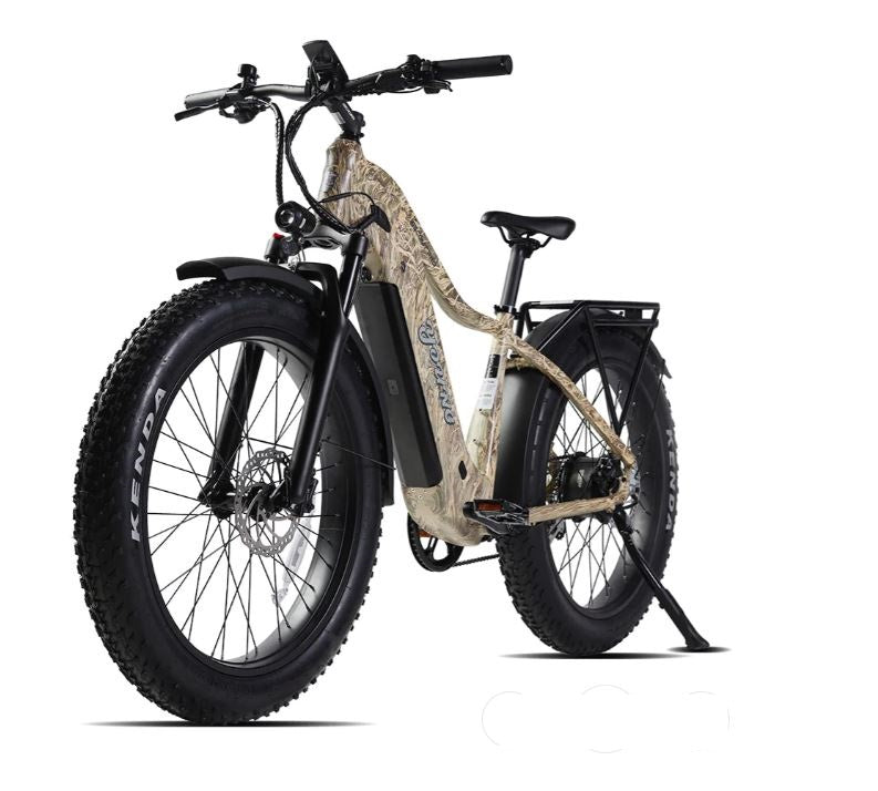 750w Electric Bikes, Tricycle Trailers, Cruisers | AllAroundEbikes ...