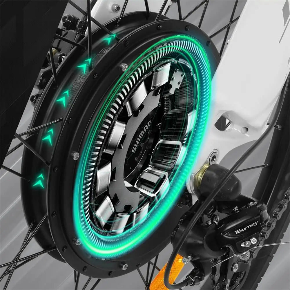 1,000W Motor for Seagull E-Bike by Ecotric – All Around E-Bikes